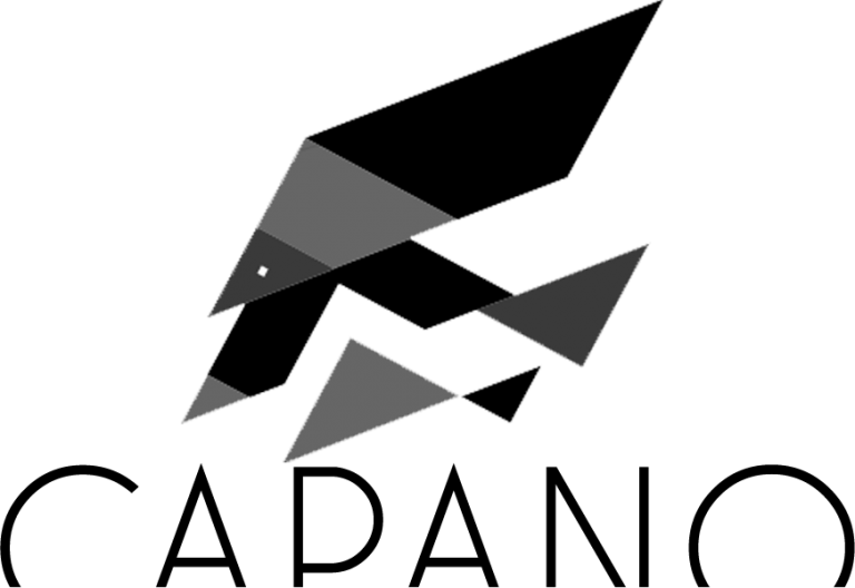 capano-logo-02 - Capano Management Company